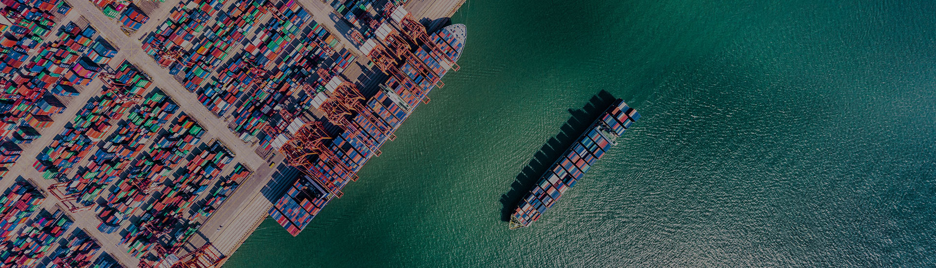 Contact Us-China Merchants Port South China Management Center